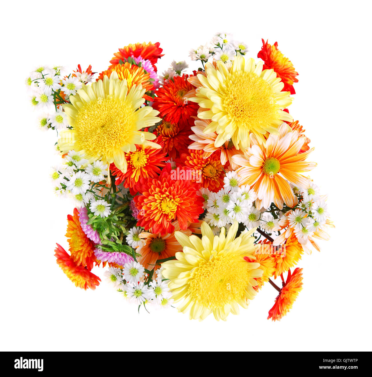 isolated flower flowers Stock Photo - Alamy