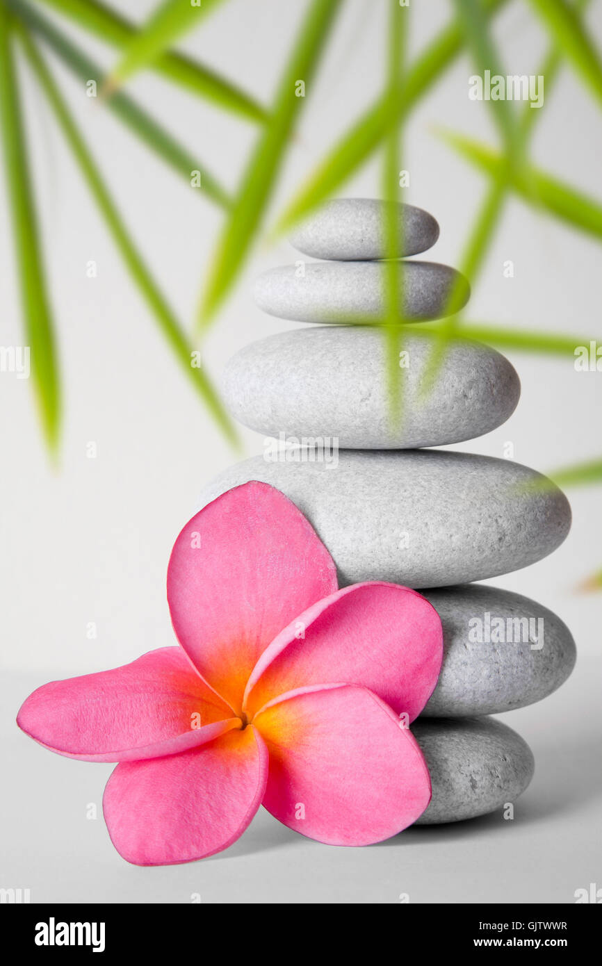 Bamboo flower hi-res stock photography and images - Alamy