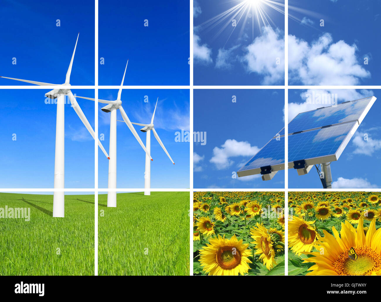 eco flower plant Stock Photo - Alamy