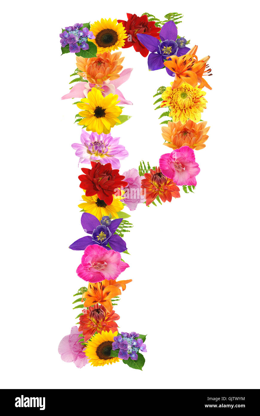 Letter p flowers hi-res stock photography and images - Alamy