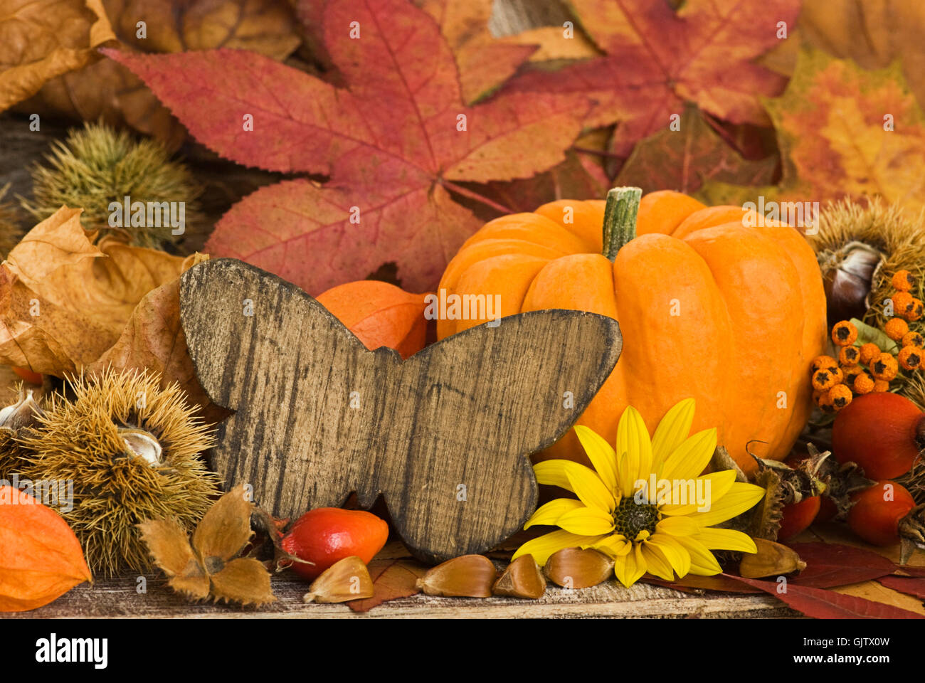 Colourful still life hi-res stock photography and images - Alamy