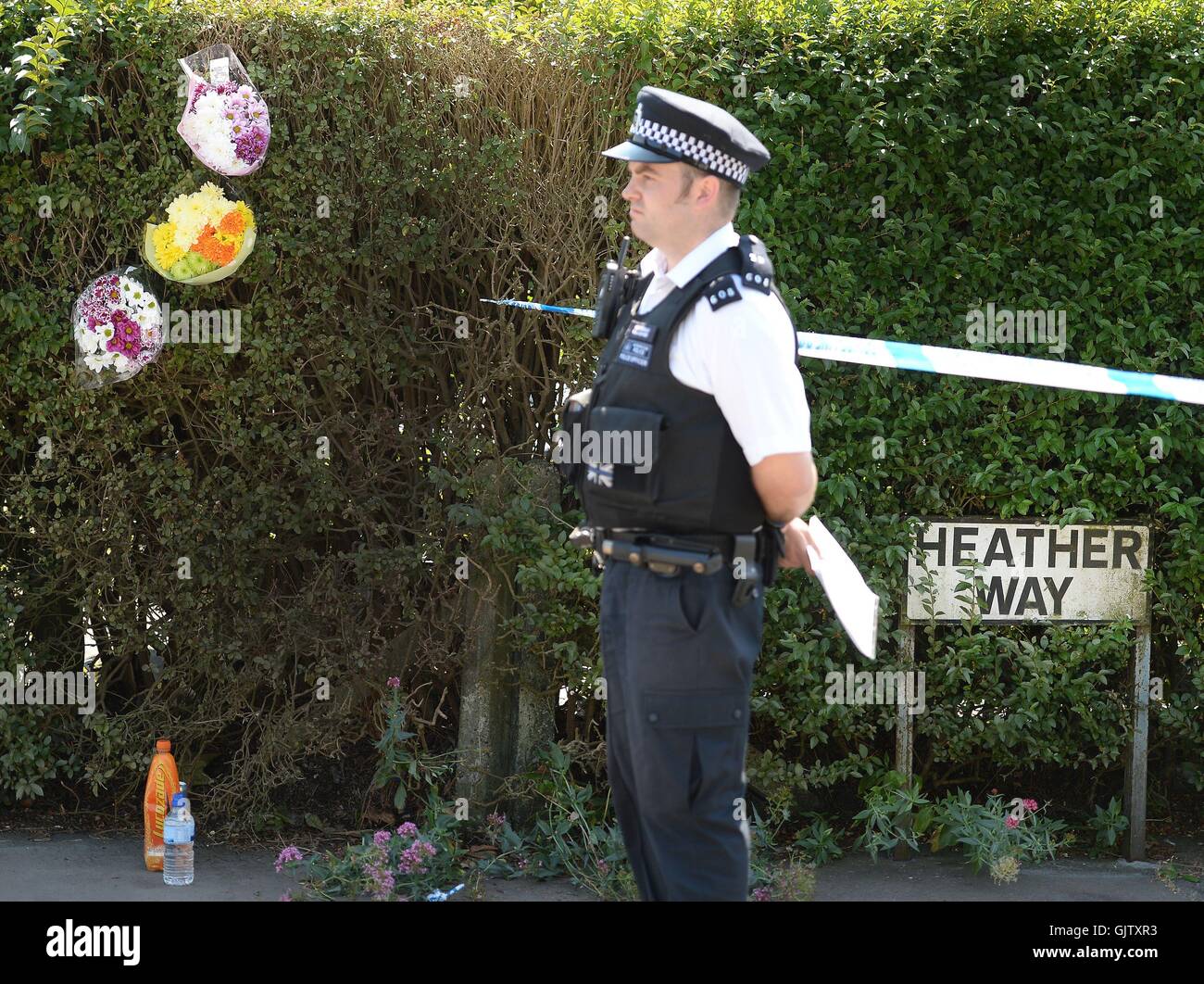 Selsdon way hi-res stock photography and images - Alamy