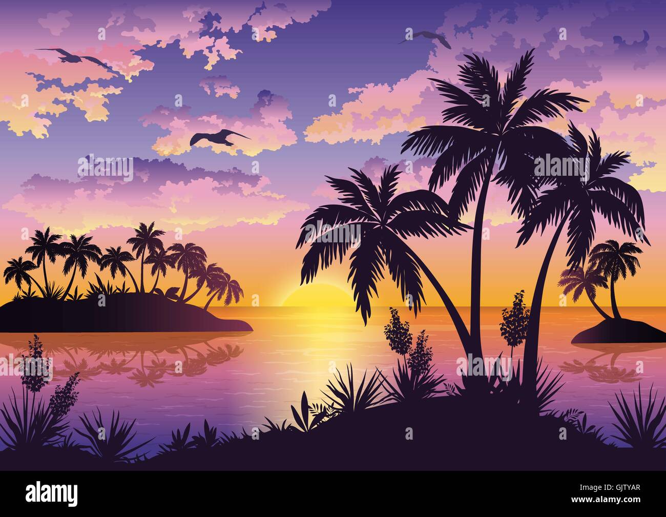 Tropical islands, palms, sky and birds Stock Vector Image & Art - Alamy