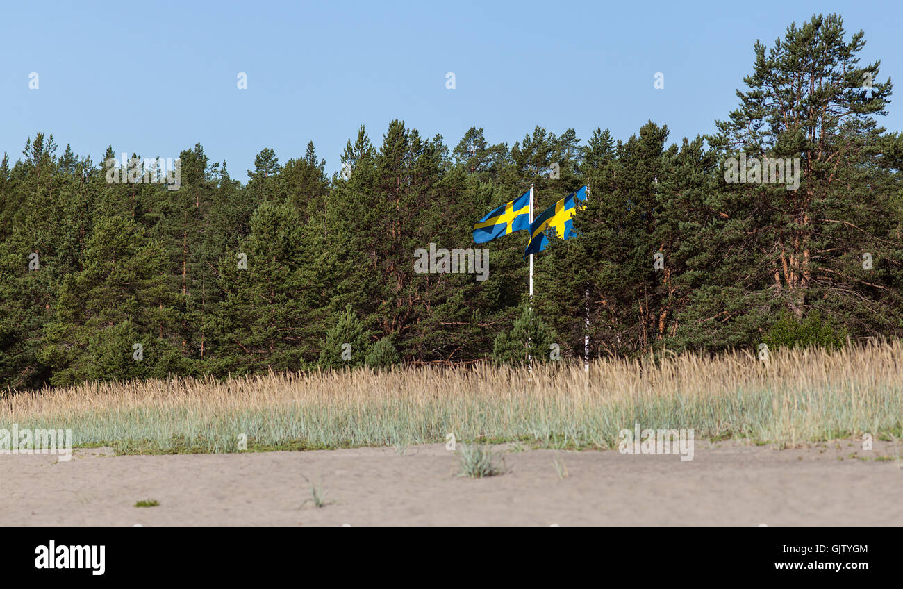 Swedish standards and trees. Summer beach this side. Sunshine Stock ...