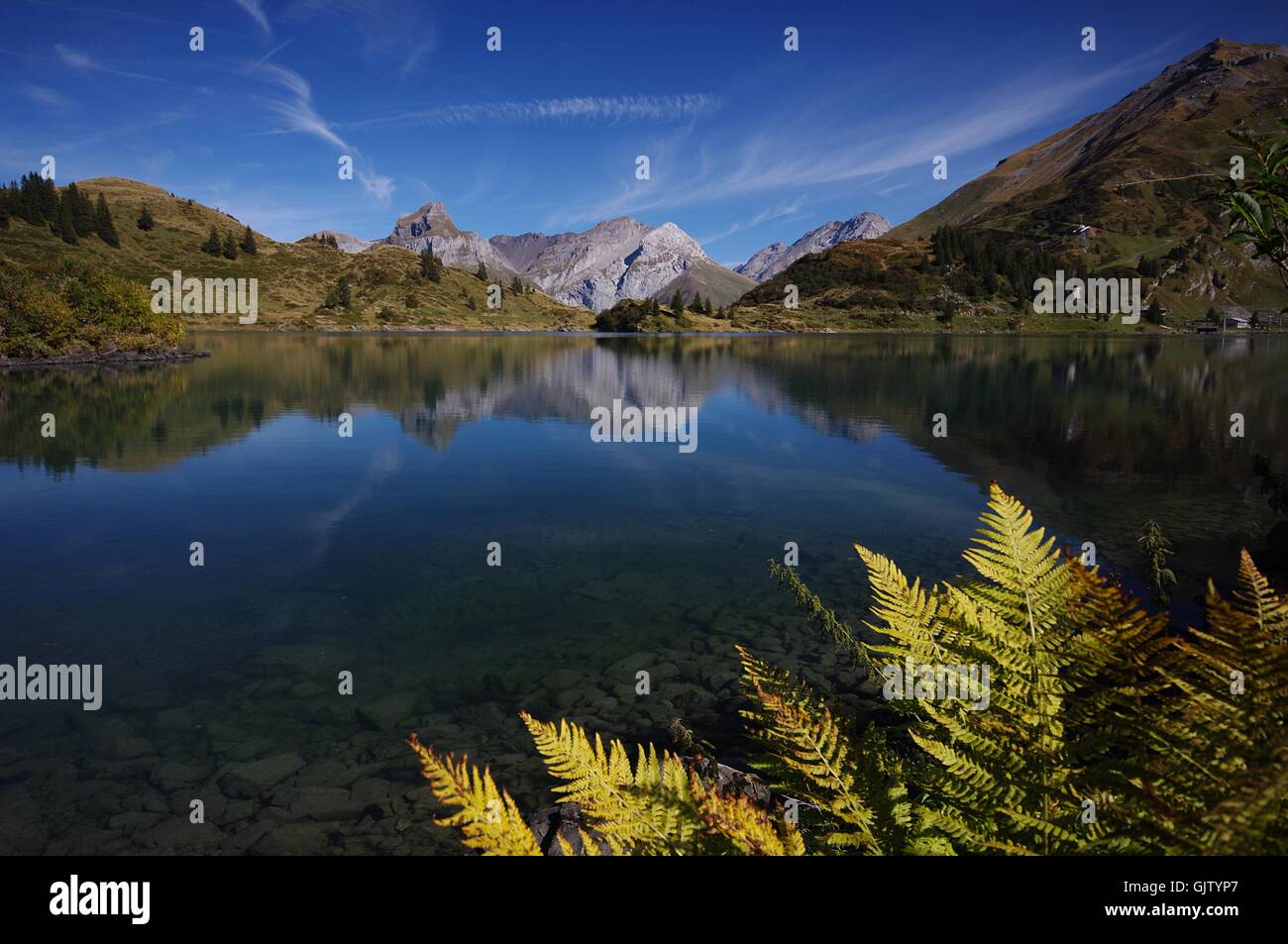 Trubsee hi-res stock photography and images - Alamy