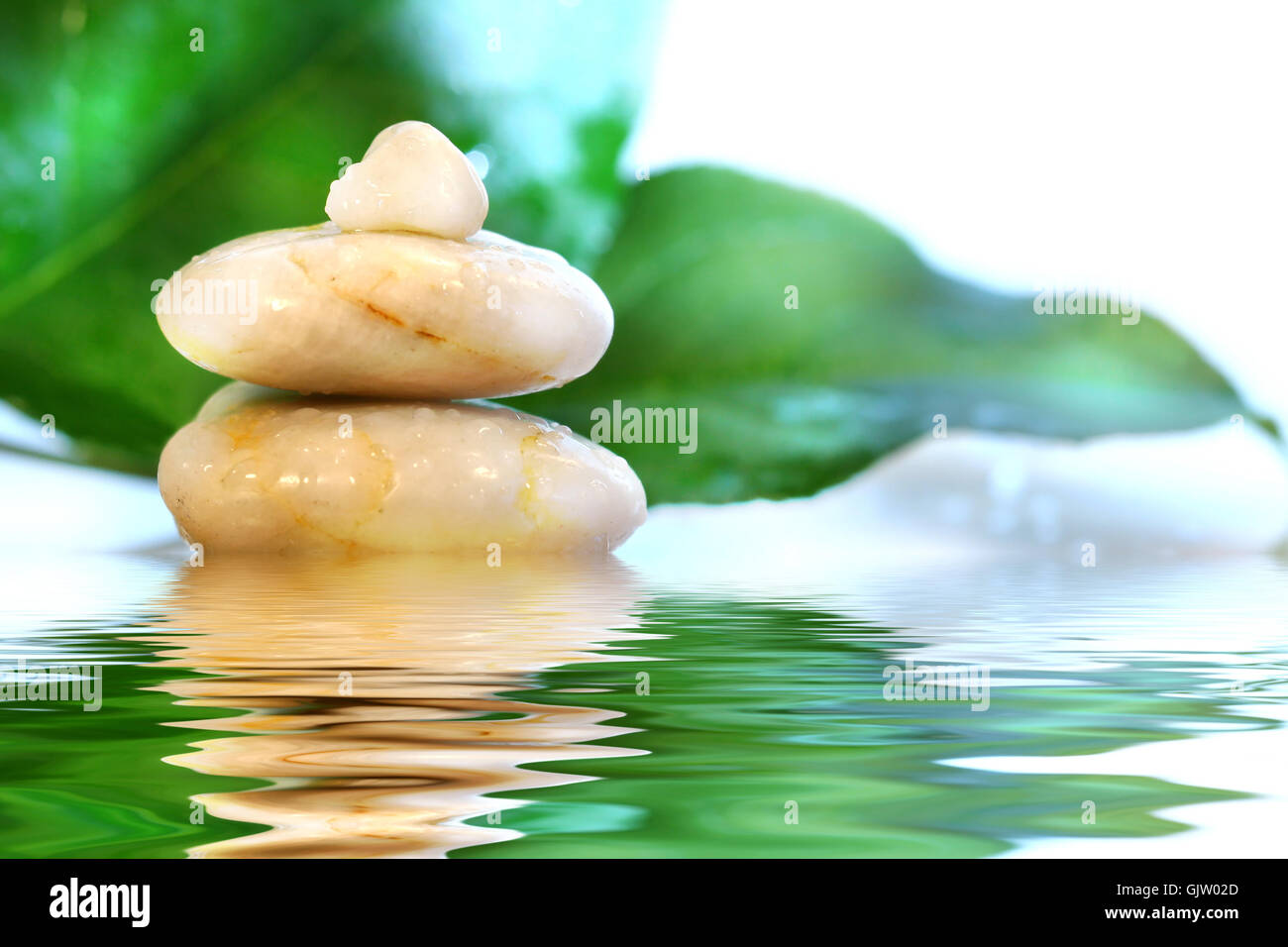 Inside leaf hi-res stock photography and images - Alamy