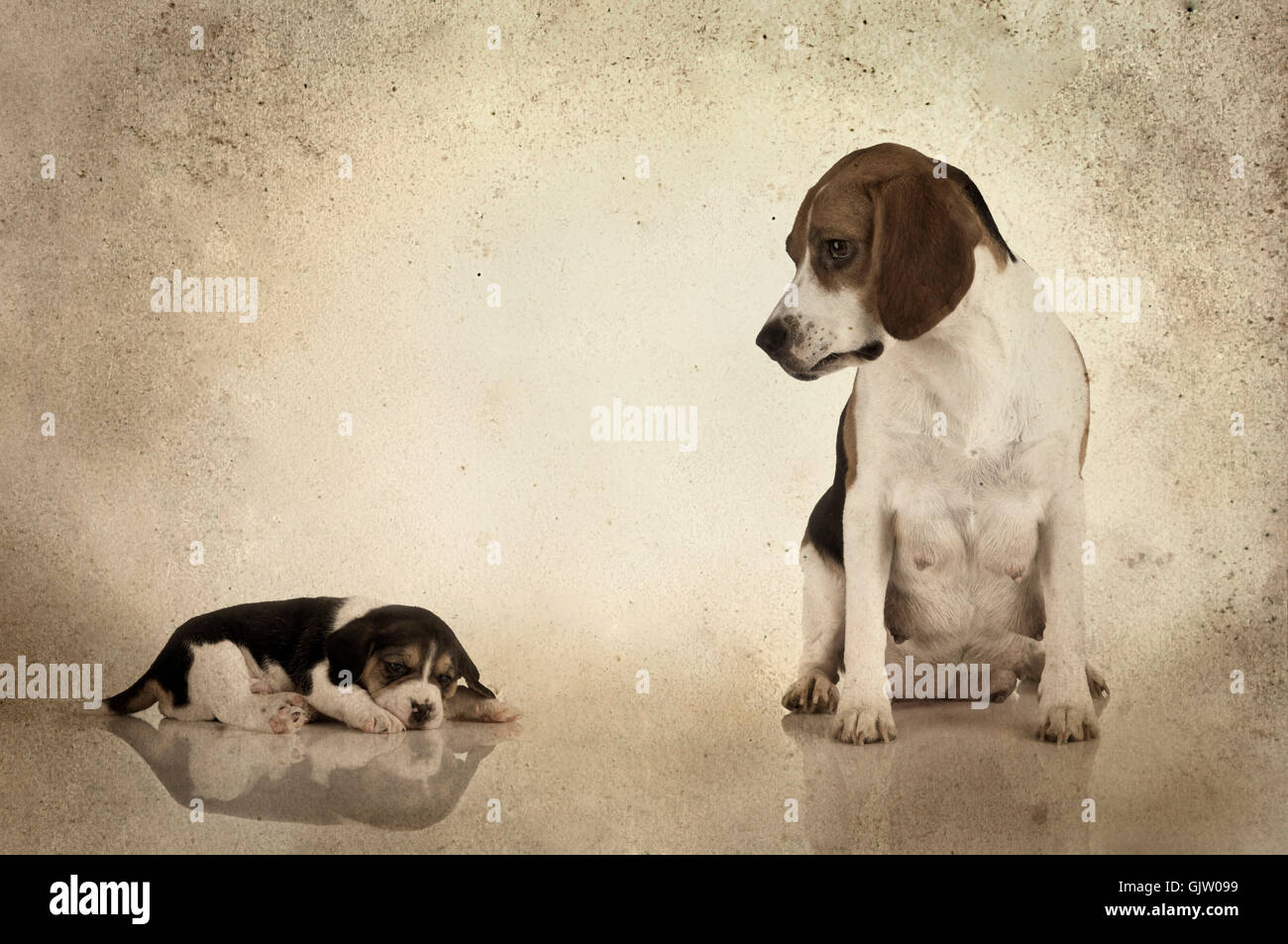 wait waiting isolated Stock Photo - Alamy