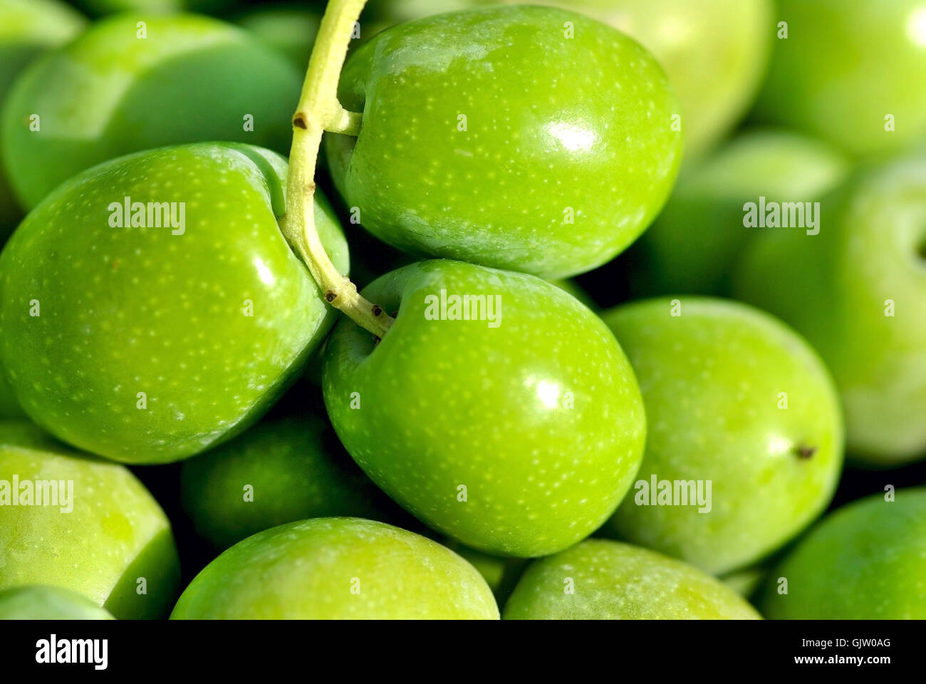 portugal peace vegetable Stock Photo - Alamy
