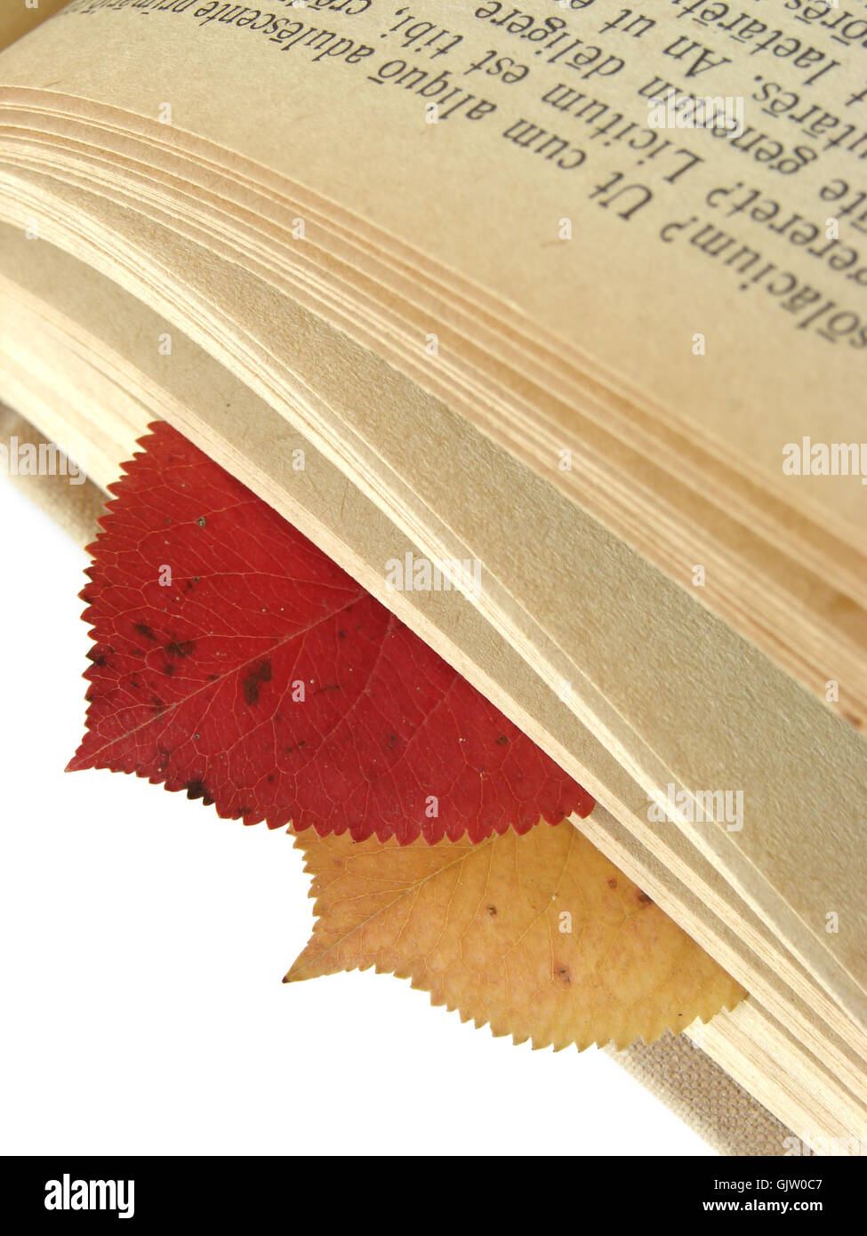 Leaf information hi-res stock photography and images - Alamy