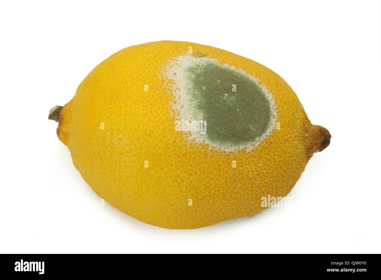 mildew corrupted lemon Stock Photo - Alamy