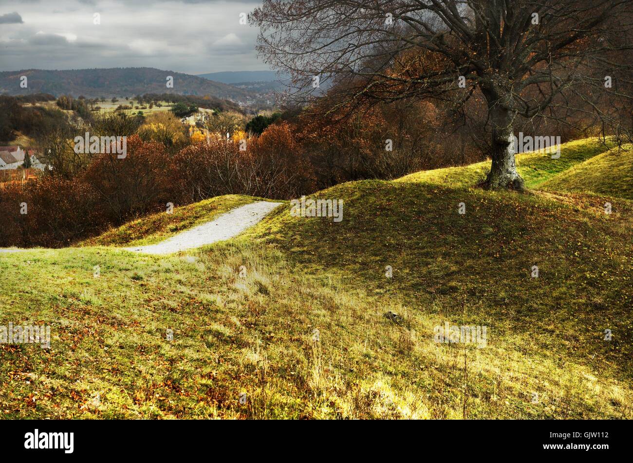 tree hill gravel walk Stock Photo - Alamy