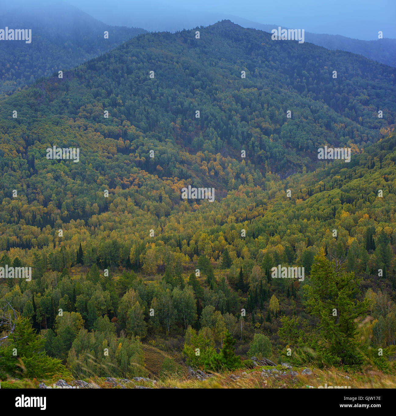 Altay mountains in Siberia Stock Photo - Alamy