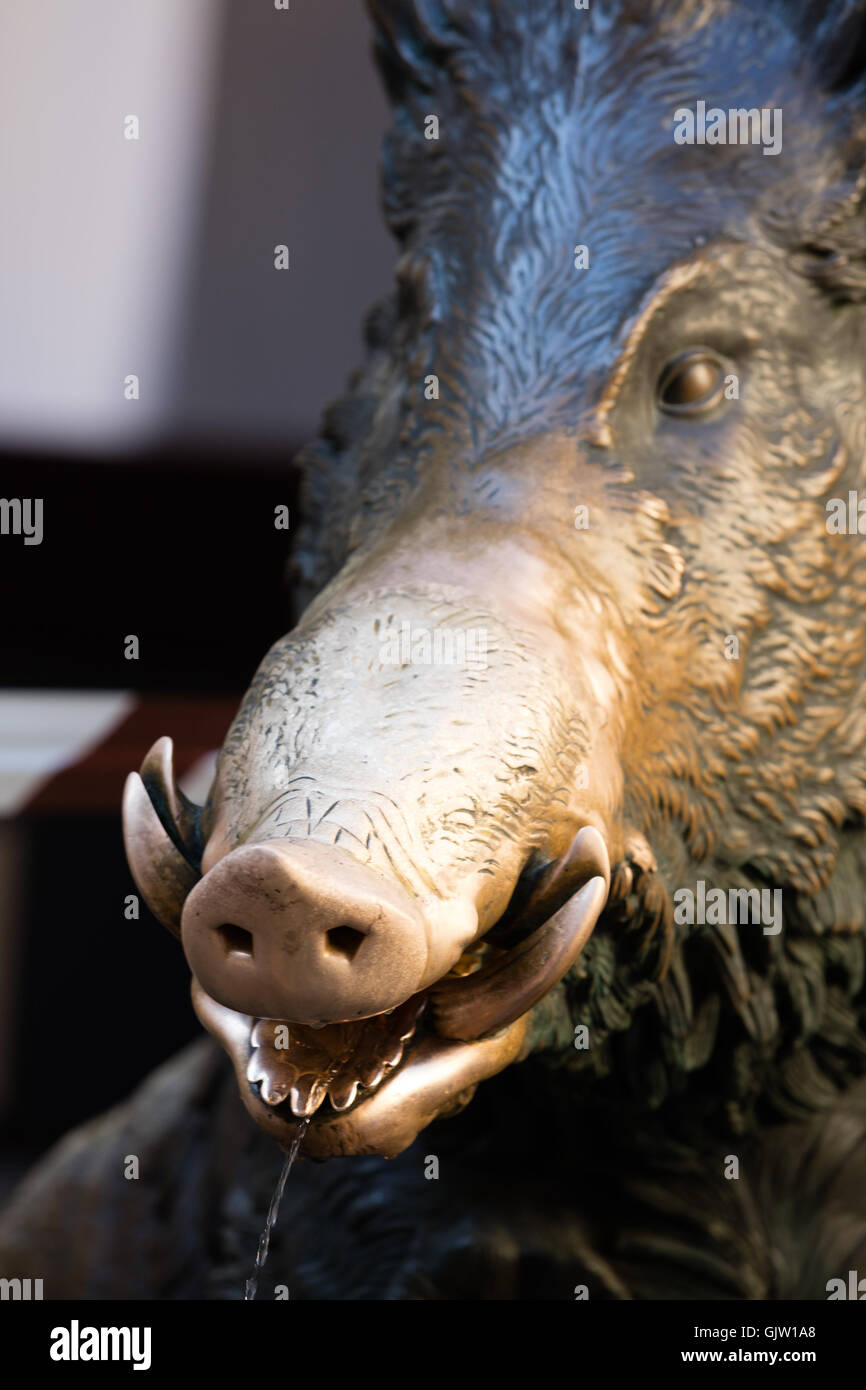 Front view of famous pig's fountain in Florence Stock Photo - Alamy