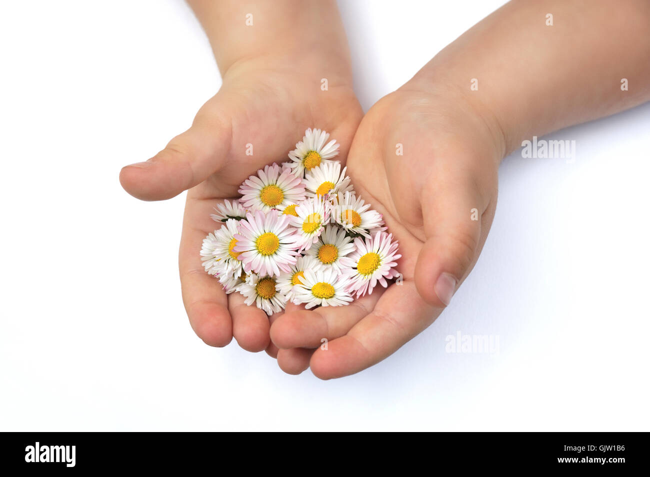 hand hands detail Stock Photo - Alamy