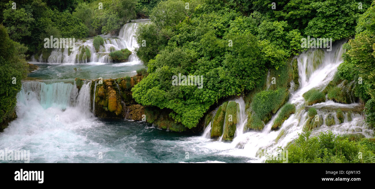 Fever bushes hi-res stock photography and images - Alamy