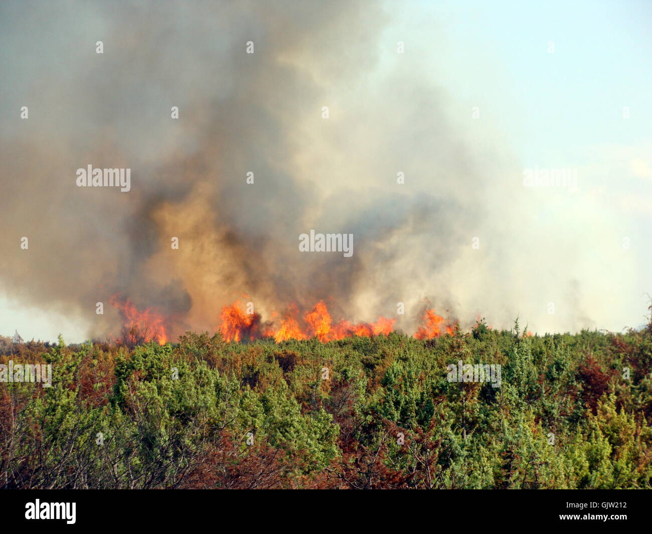 Smoking forest hi-res stock photography and images - Alamy