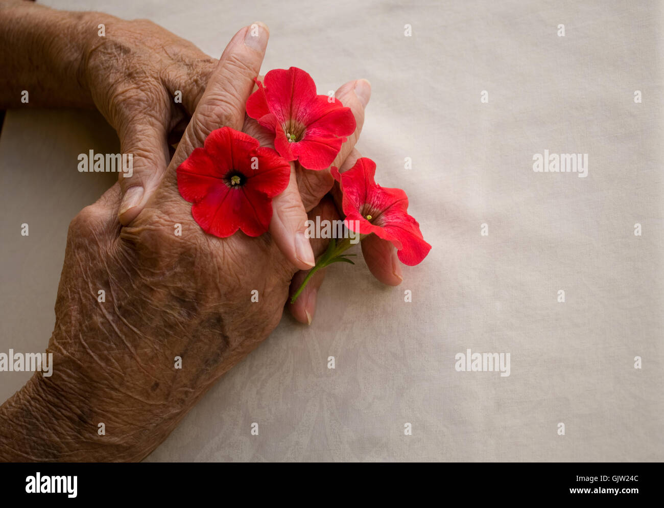 hand hands death Stock Photo - Alamy
