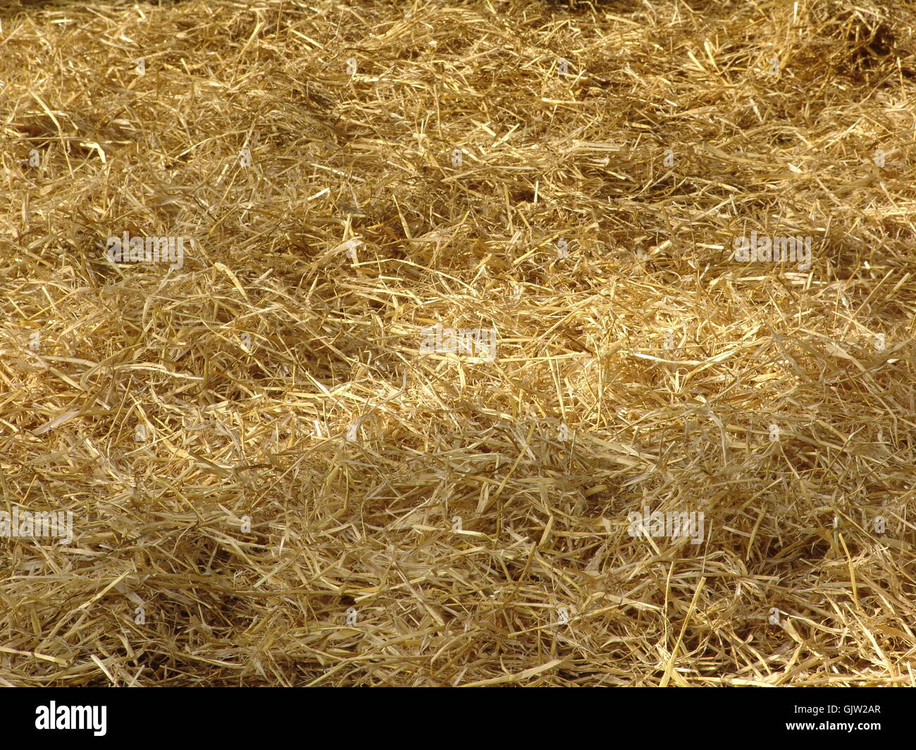 hay straw barn shadow Stock Photo - Alamy