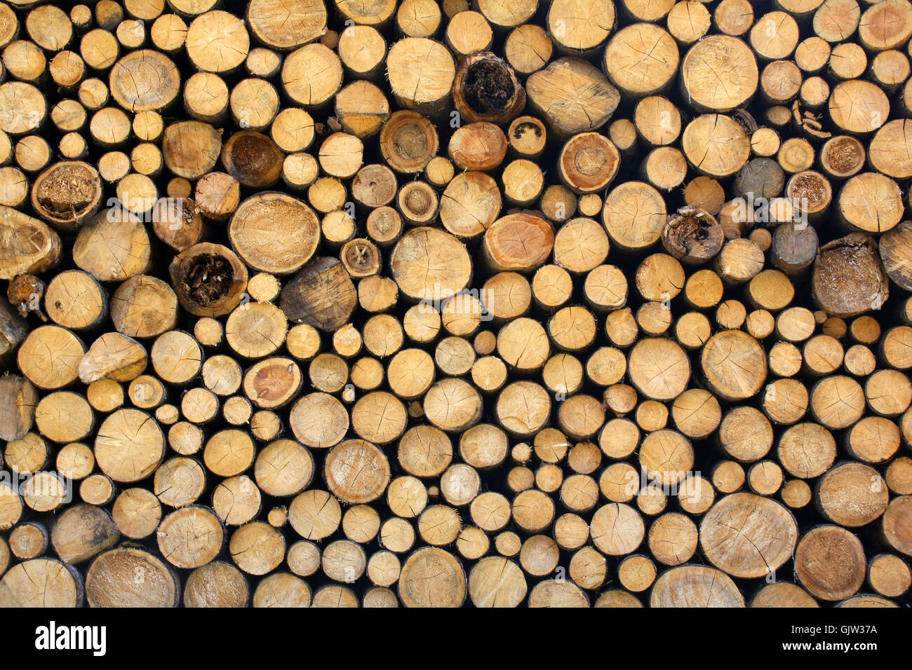 Hunks of wood hi-res stock photography and images - Alamy
