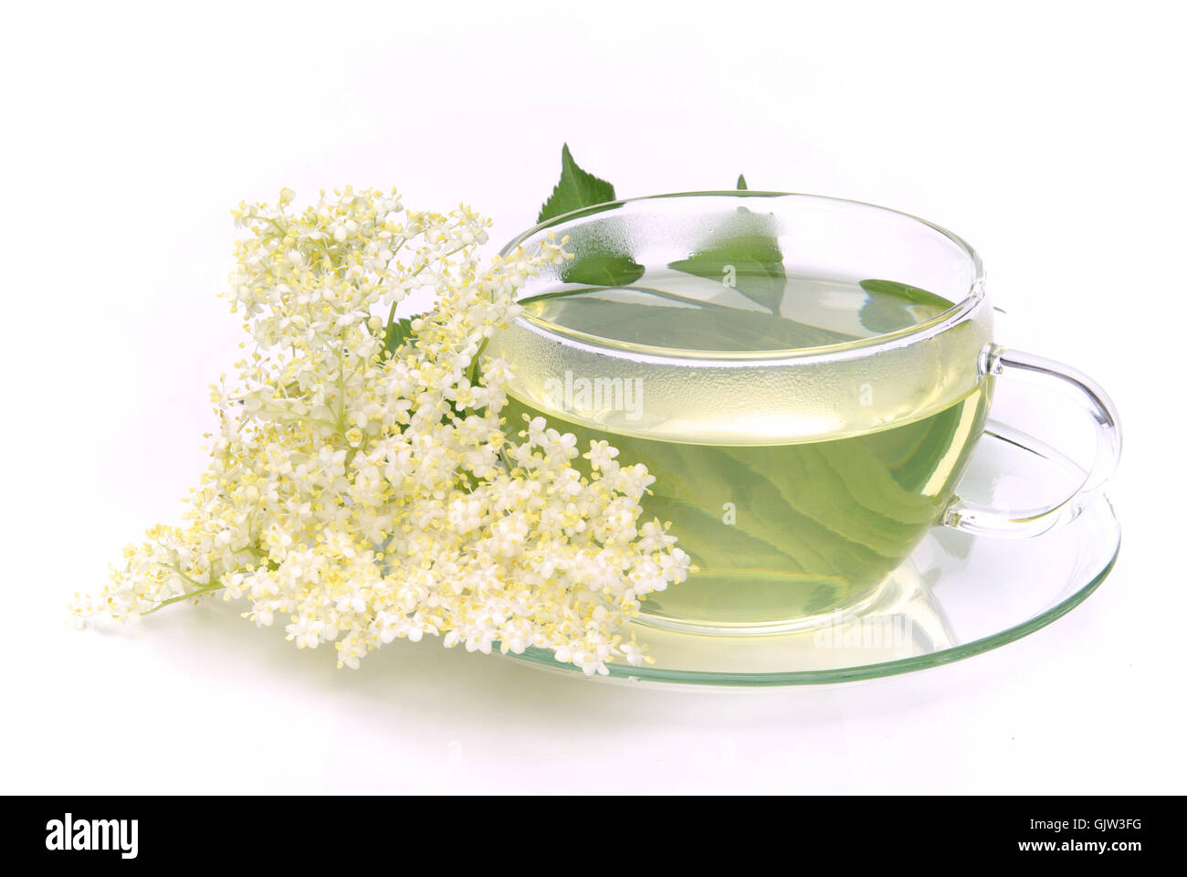 tea bloom blossom Stock Photo - Alamy