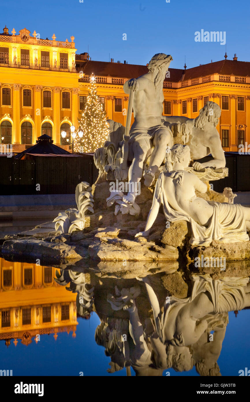 Vienna tree hi-res stock photography and images - Alamy