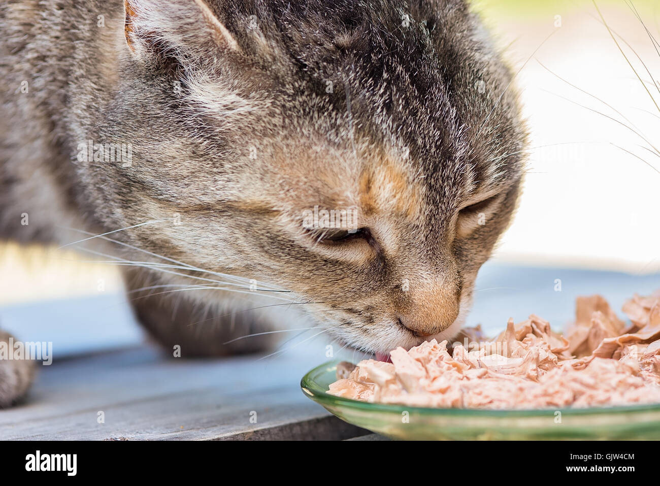 Close up plate food hi-res stock photography and images - Alamy