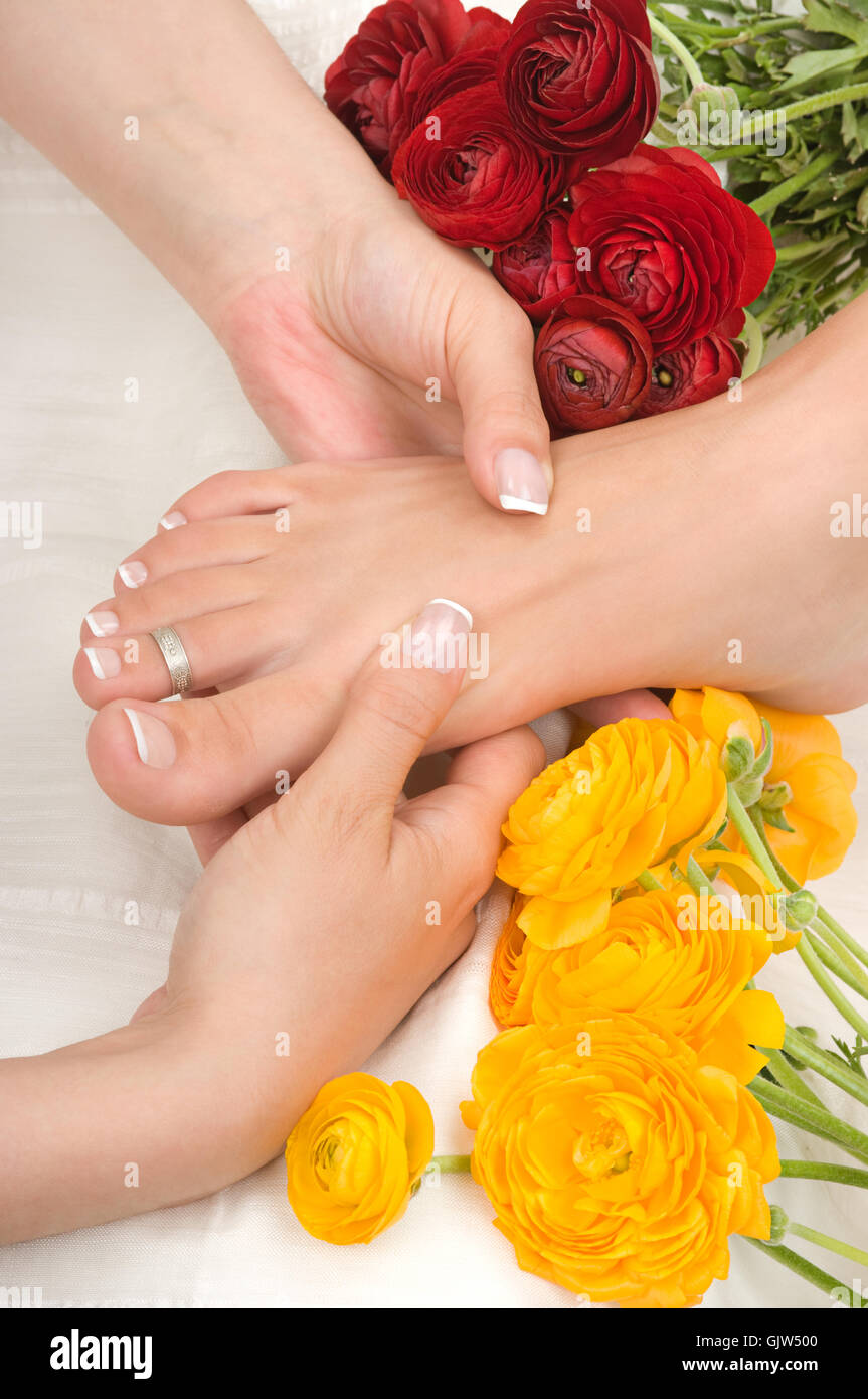 Toe toe flower hi-res stock photography and images - Alamy