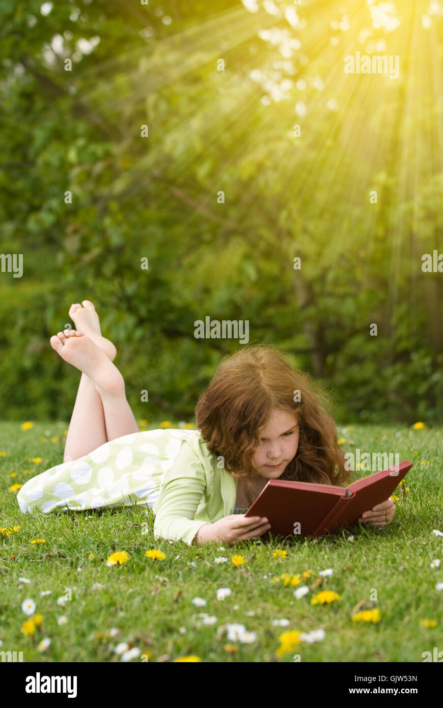 summer summerly reading Stock Photo - Alamy
