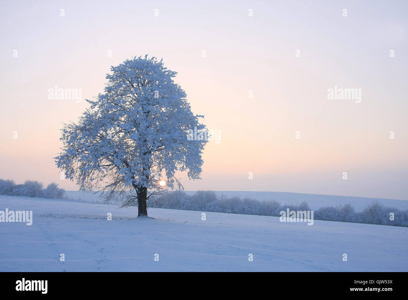 Icy scenery hi-res stock photography and images - Alamy