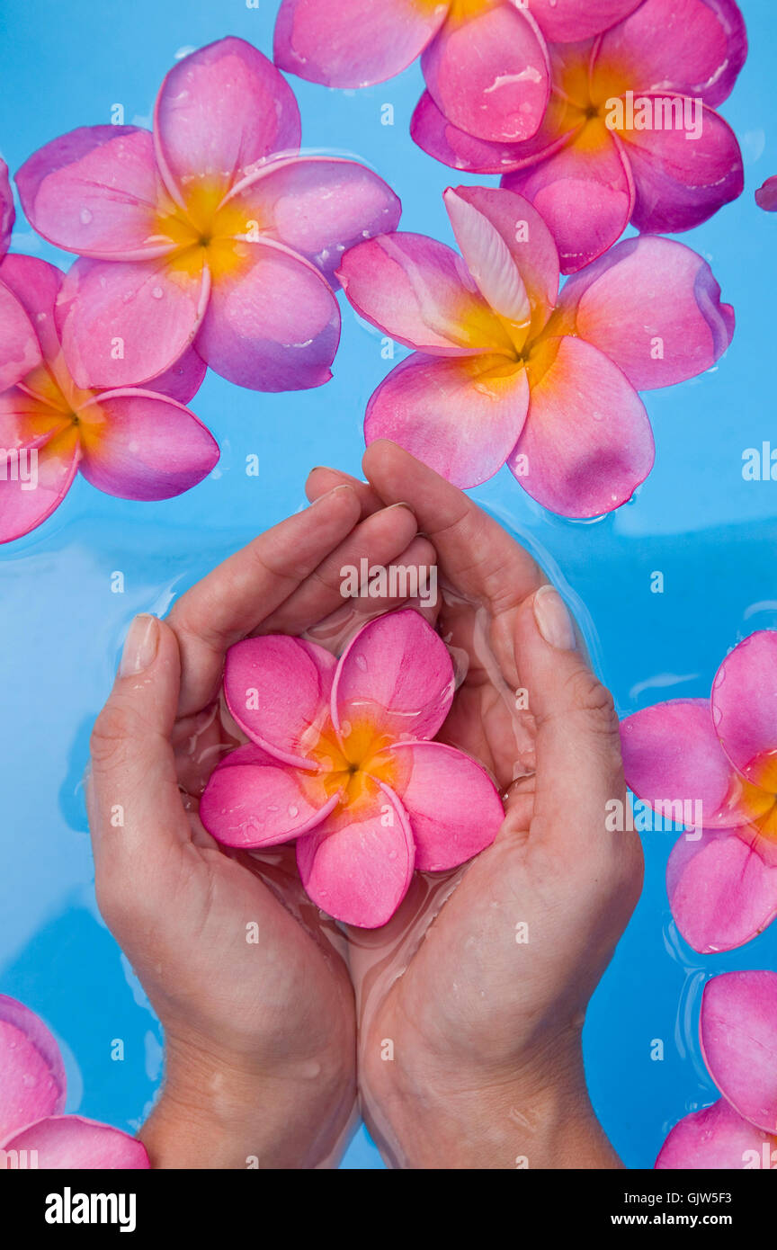 Luxurious hand wash hi-res stock photography and images - Alamy