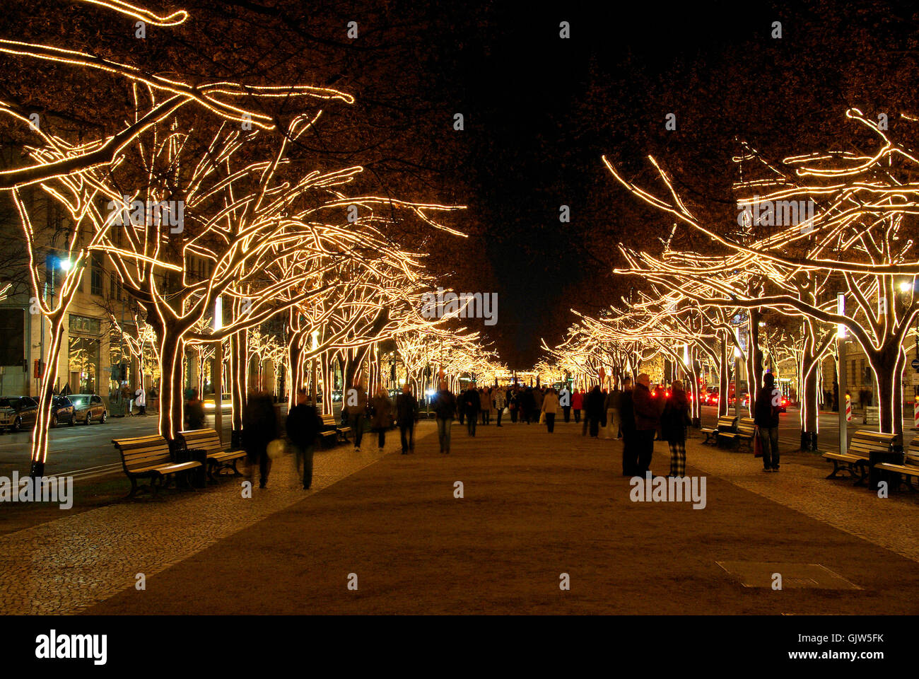 berlin linden tree under Stock Photo - Alamy