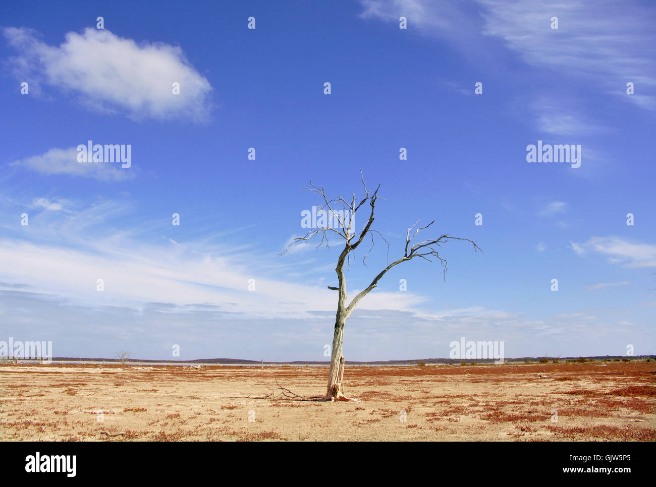 Dead level hi-res stock photography and images - Alamy