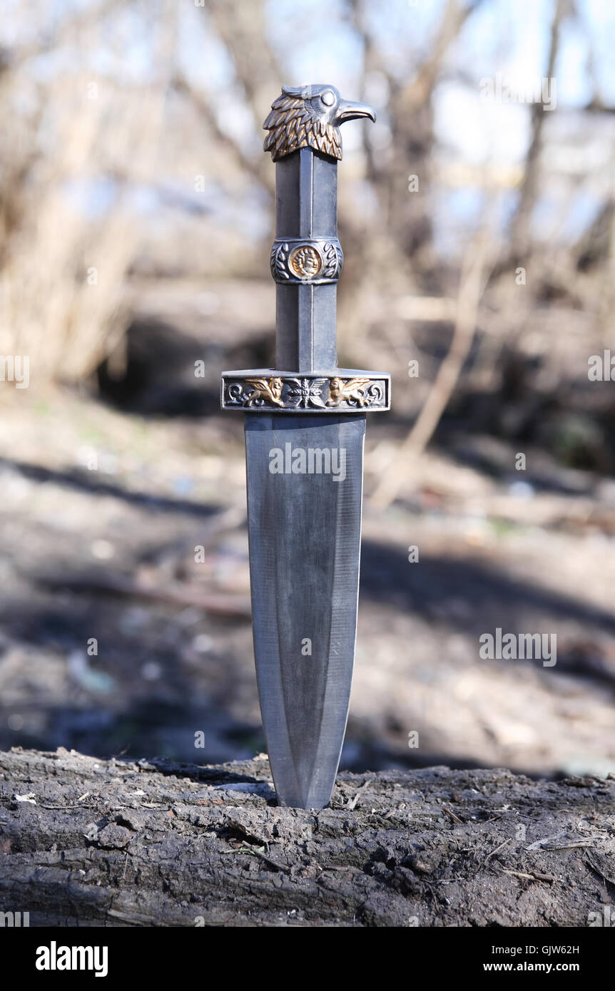 Dagger Log High Resolution Stock Photography and Images - Alamy