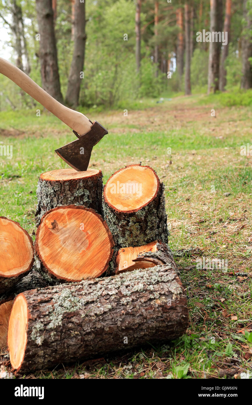 Firewood Splitting. Stack of logs with axe on green clearing in forest ...
