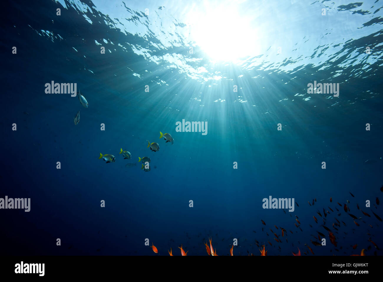 blue shine shines Stock Photo - Alamy