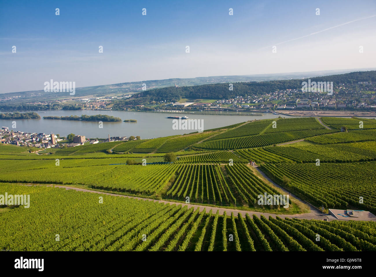 Rheintal hi-res stock photography and images - Alamy