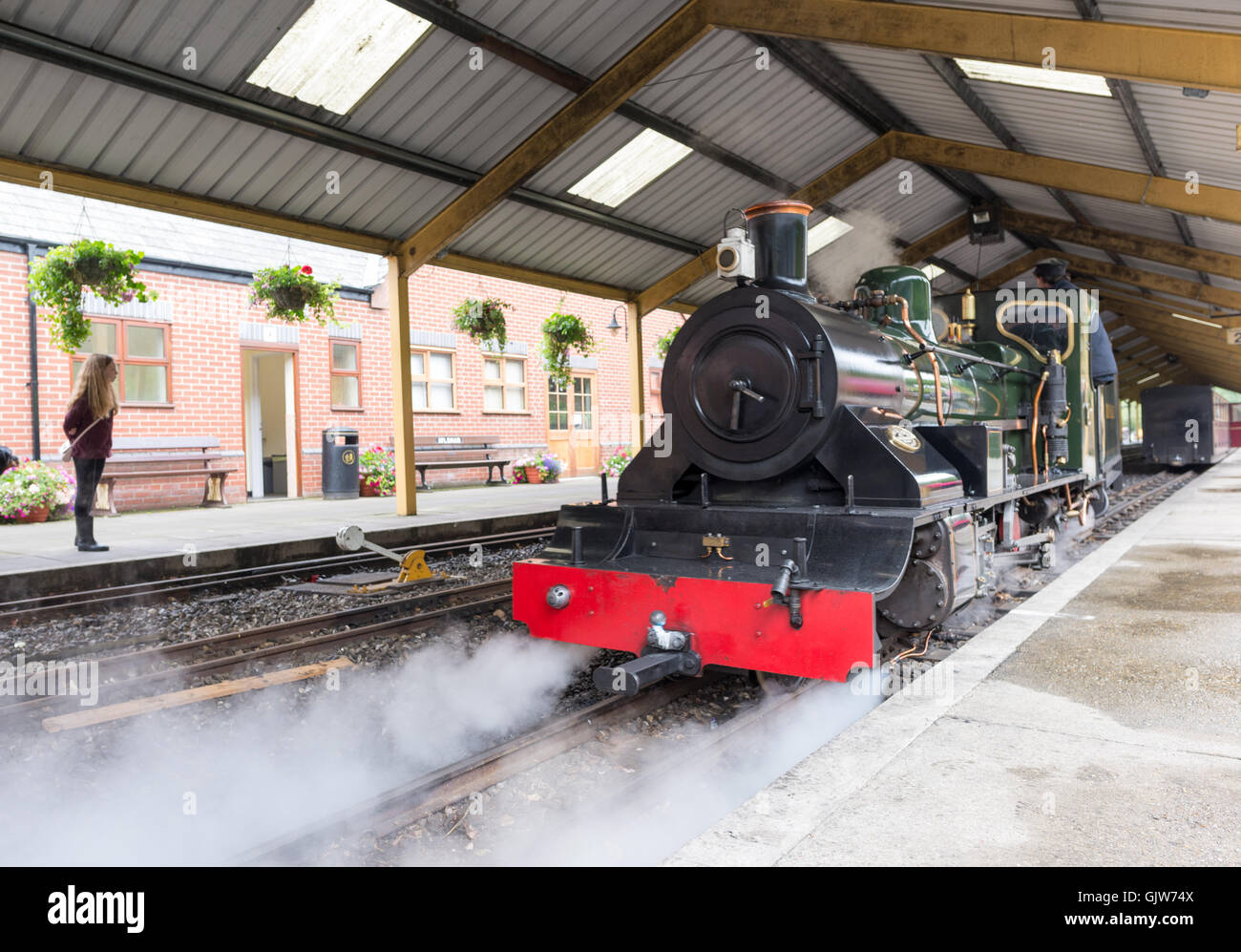 A steam engine manouvres into position at the Bure Valley minimum gauge ...