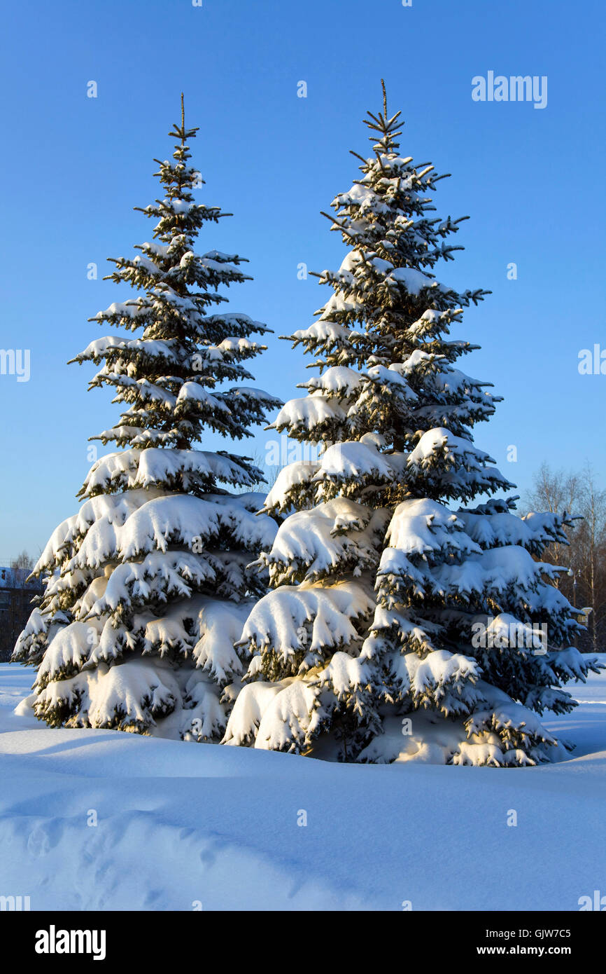 winter snow coke Stock Photo - Alamy