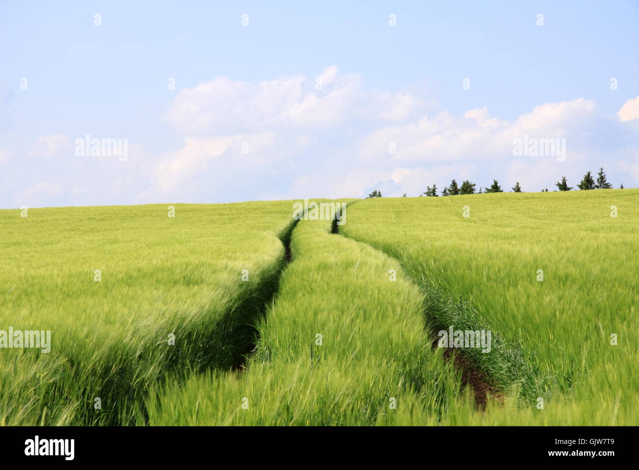 agriculture farming field Stock Photo - Alamy