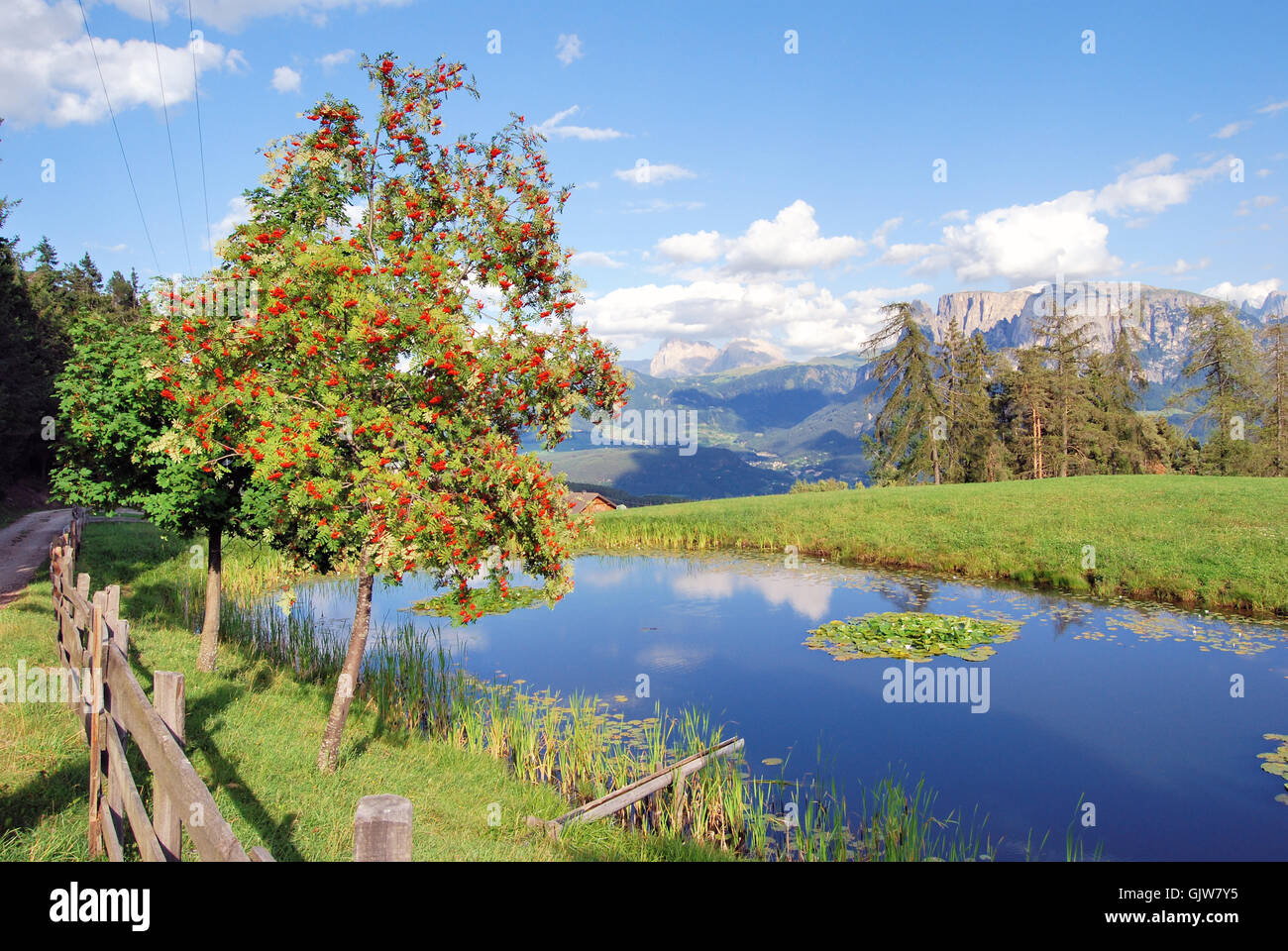 summer summerly fresh water Stock Photo - Alamy
