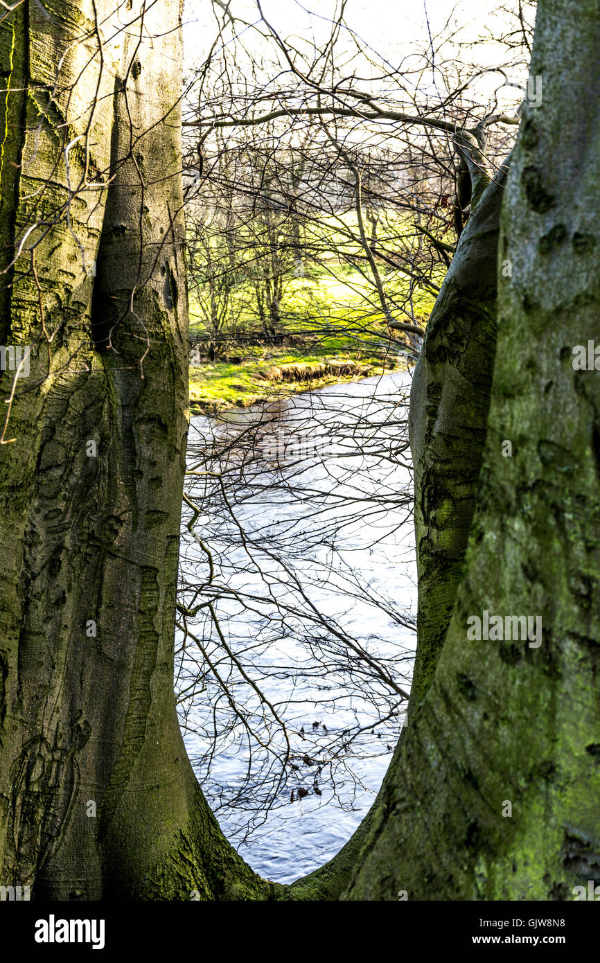 River wharfe ilkley addingham hi-res stock photography and images - Alamy