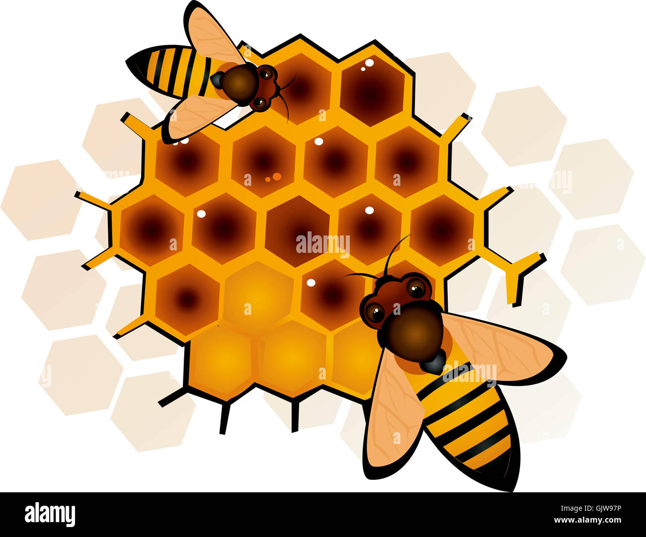 insect comb combing Stock Photo - Alamy