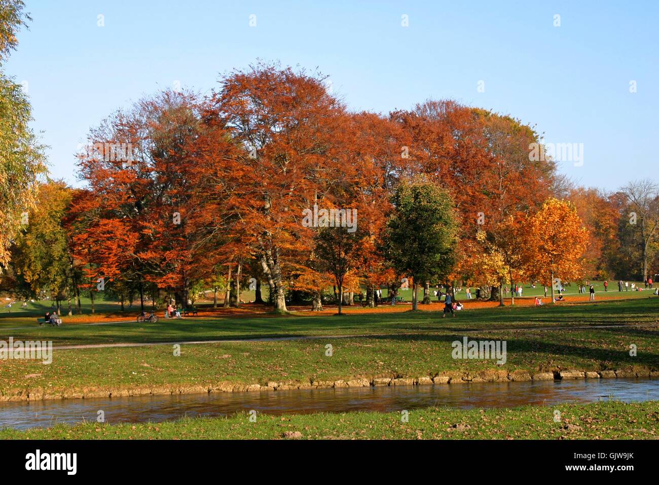 tree trees coloured Stock Photo - Alamy