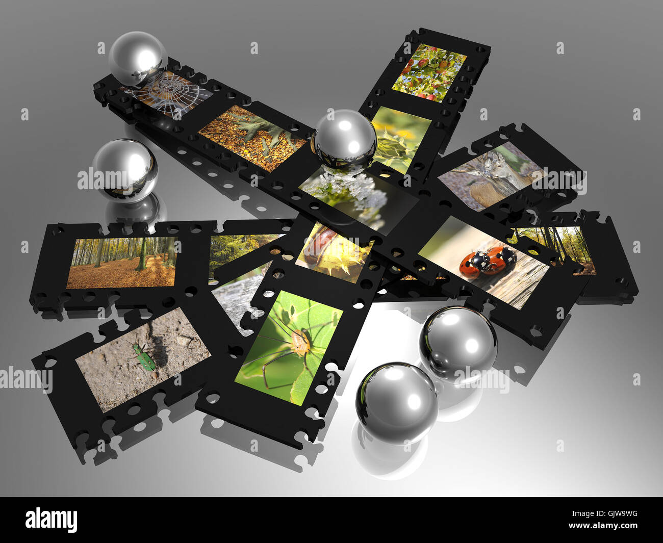 photo camera motive Stock Photo - Alamy