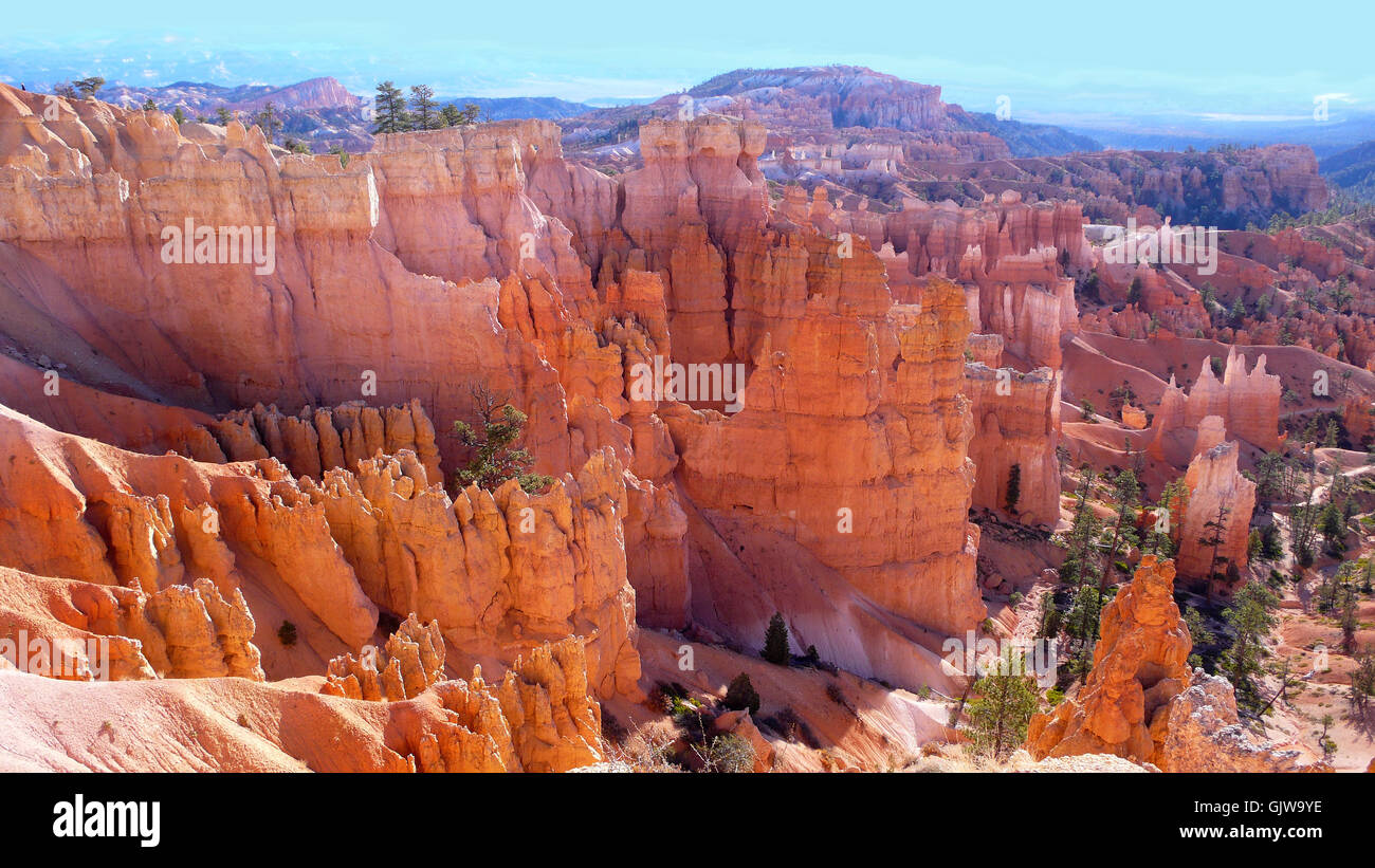 national park usa ravine Stock Photo - Alamy