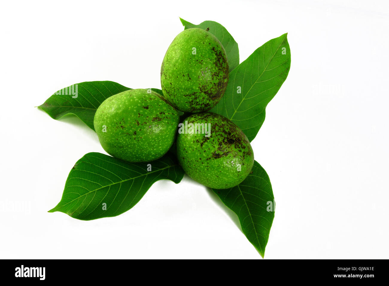 Walnut door hi-res stock photography and images - Alamy