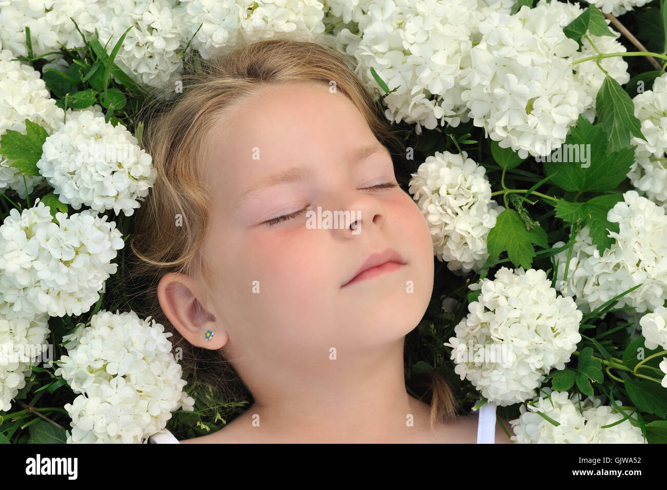 flower plant friendly Stock Photo - Alamy