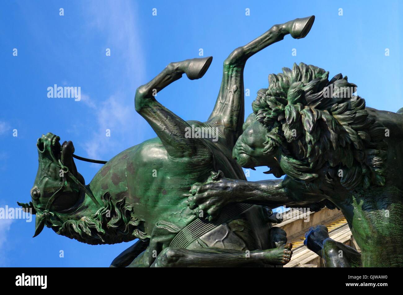 Lion and the horse hi-res stock photography and images - Alamy