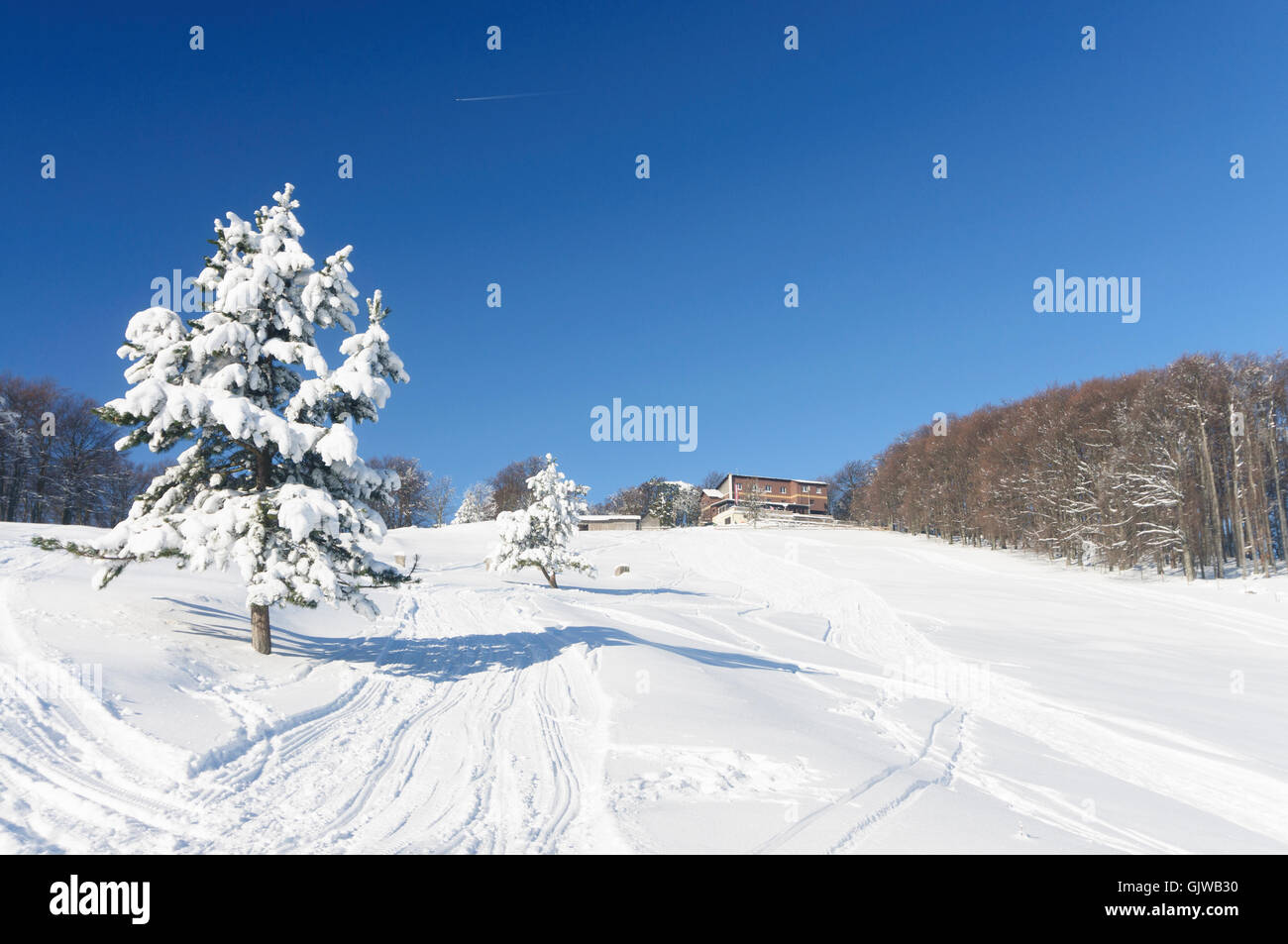 Furth an der Triesting: mount Hocheck, hut Hocheck, Austria ...