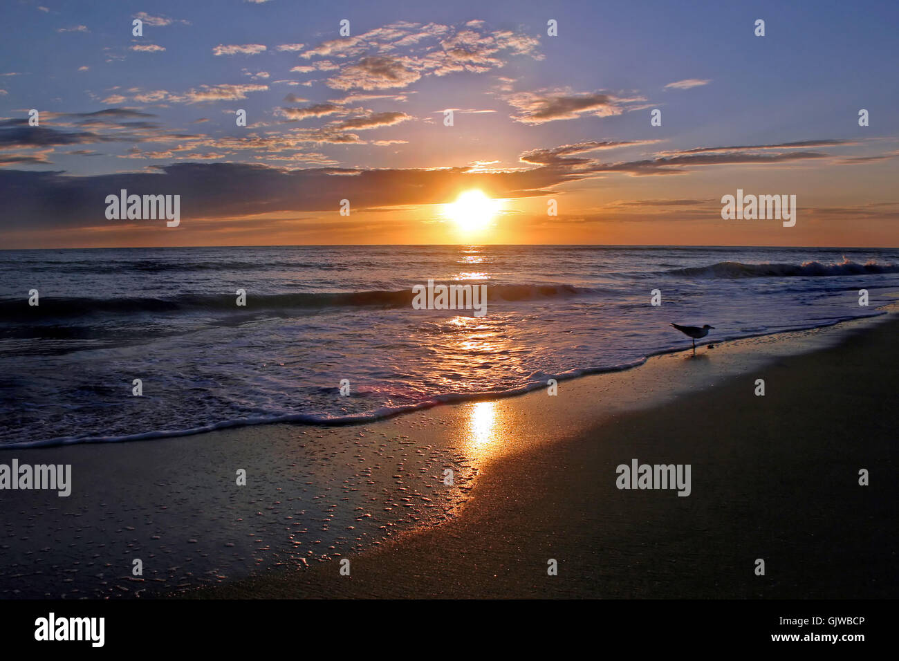 sunset beach seaside Stock Photo - Alamy